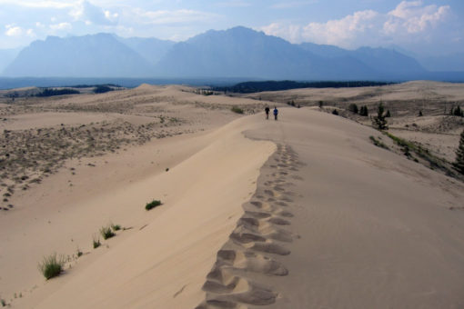 Chara Sands: Discover a Mysterious Golden Siberian Desert