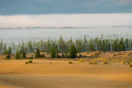 Chara Sands: Discover a Mysterious Golden Siberian Desert