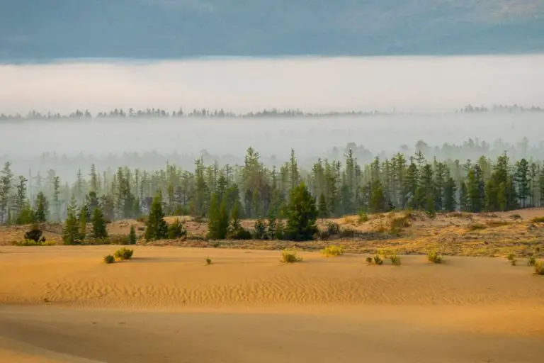 Chara Sands: Discover a Mysterious Golden Siberian Desert