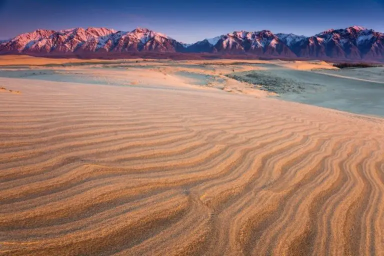 Chara Sands: Discover a Mysterious Golden Siberian Desert