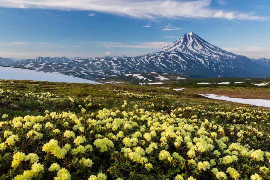 Kamchatka Tours - 56th Parallel Russia Tours