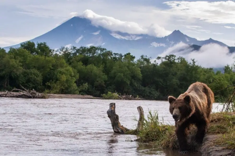 Kamchatka Discovery Tour - 7 Day Introduction to Kamchatka Tour