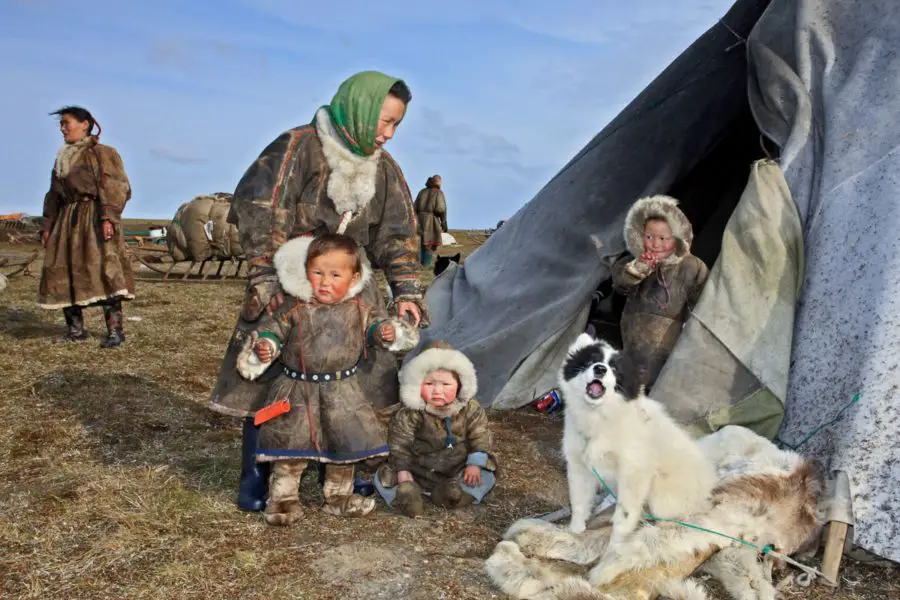 Yamal Tours - Visit the Nenets, Reindeer Hearders of Yamal