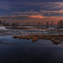 Reindeer Migration with Nenets of Yamal - Indigenous Russia Tours