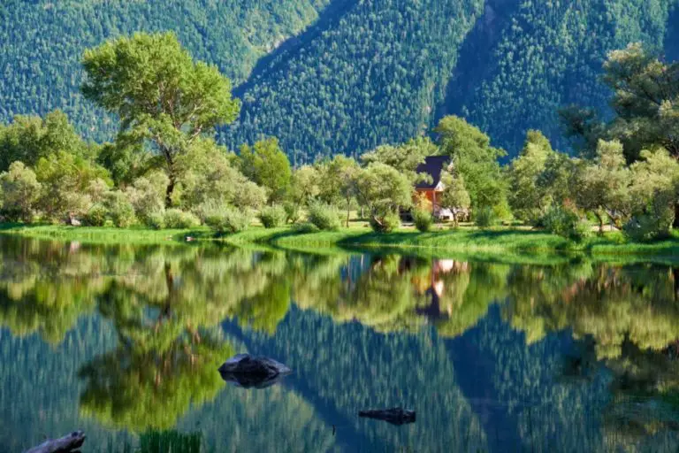 Visit Altai - 8 Reasons to Travel to Altai Region of Russia