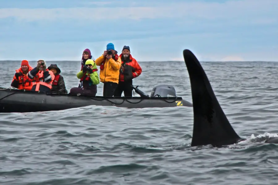 Kamchatka Tours - Best Kamchatka Travel Packages 2020/21