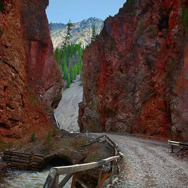 Altai Adventure Tour - 11-Day Altai's Golden Mountains Trip