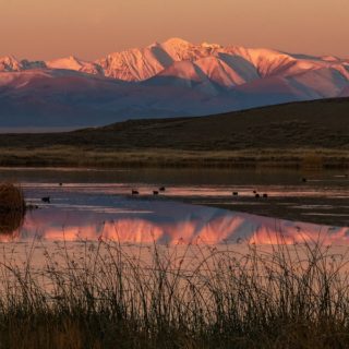 Altai Adventure Tour - 11-Day Altai's Golden Mountains Trip