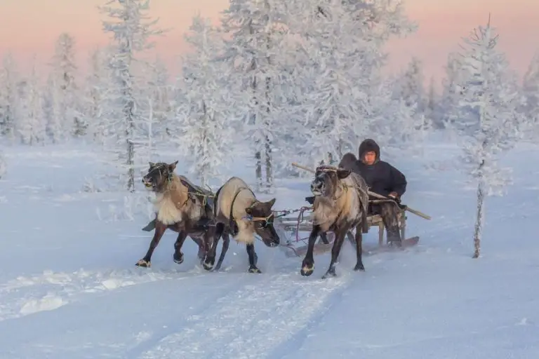 Yamal Peninsula Travel Guide - How to Visit with The Nenets